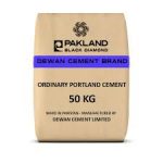Pakland Cement OPC - EZMakaan